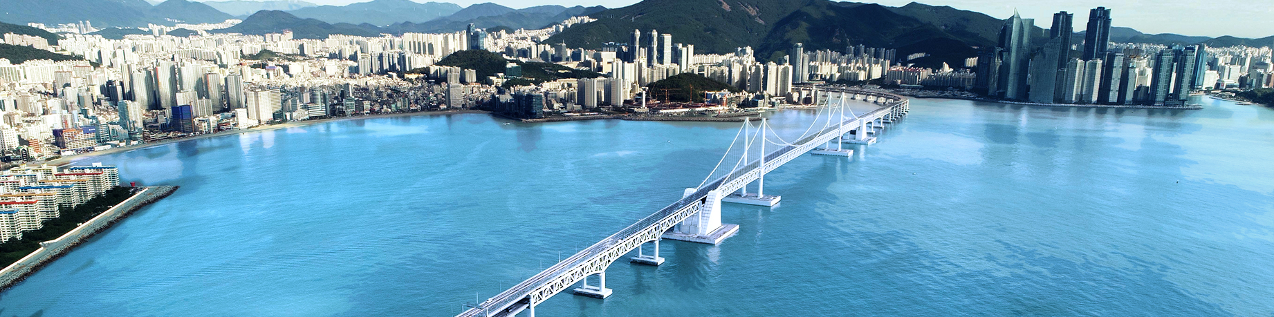 2021 부산바다마라톤